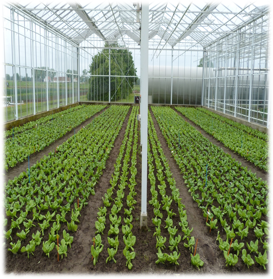 NutriCycle - Biorefine Cluster Europe