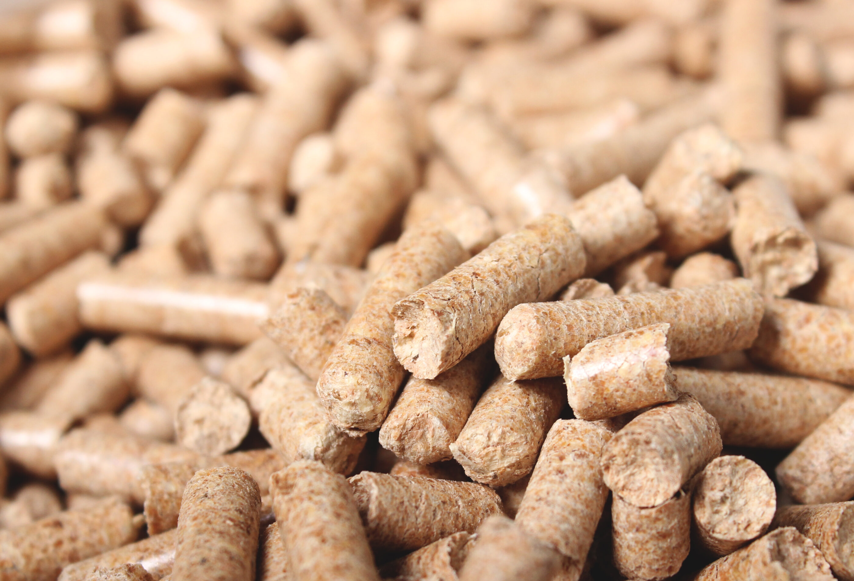 F-Cubed: Combustion Testing of Biofuel Pellets - Biorefine Cluster Europe