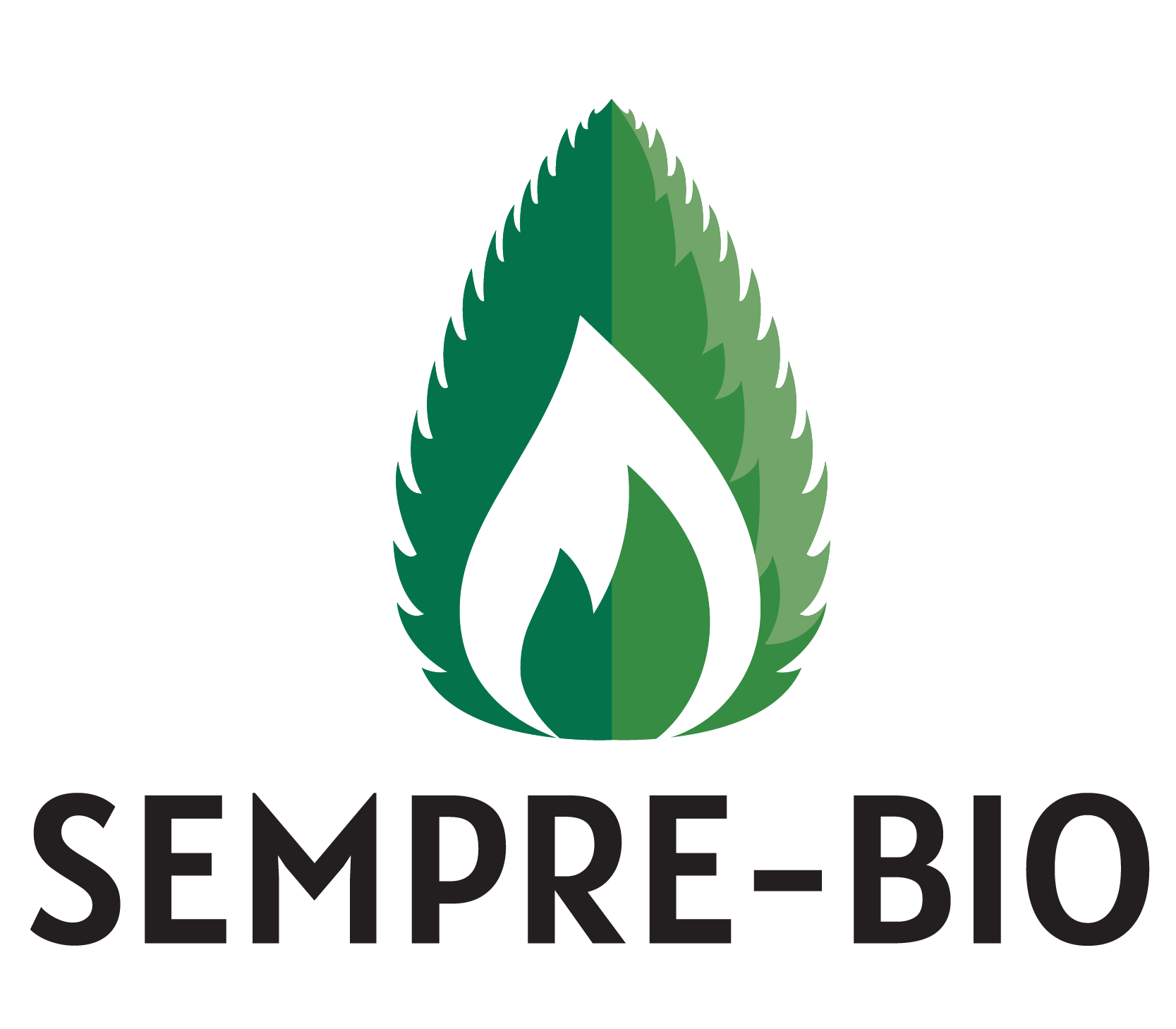 SEMPRE-BIO - SEcuring doMestic PRoduction of cost-Effective BIOmethane ...