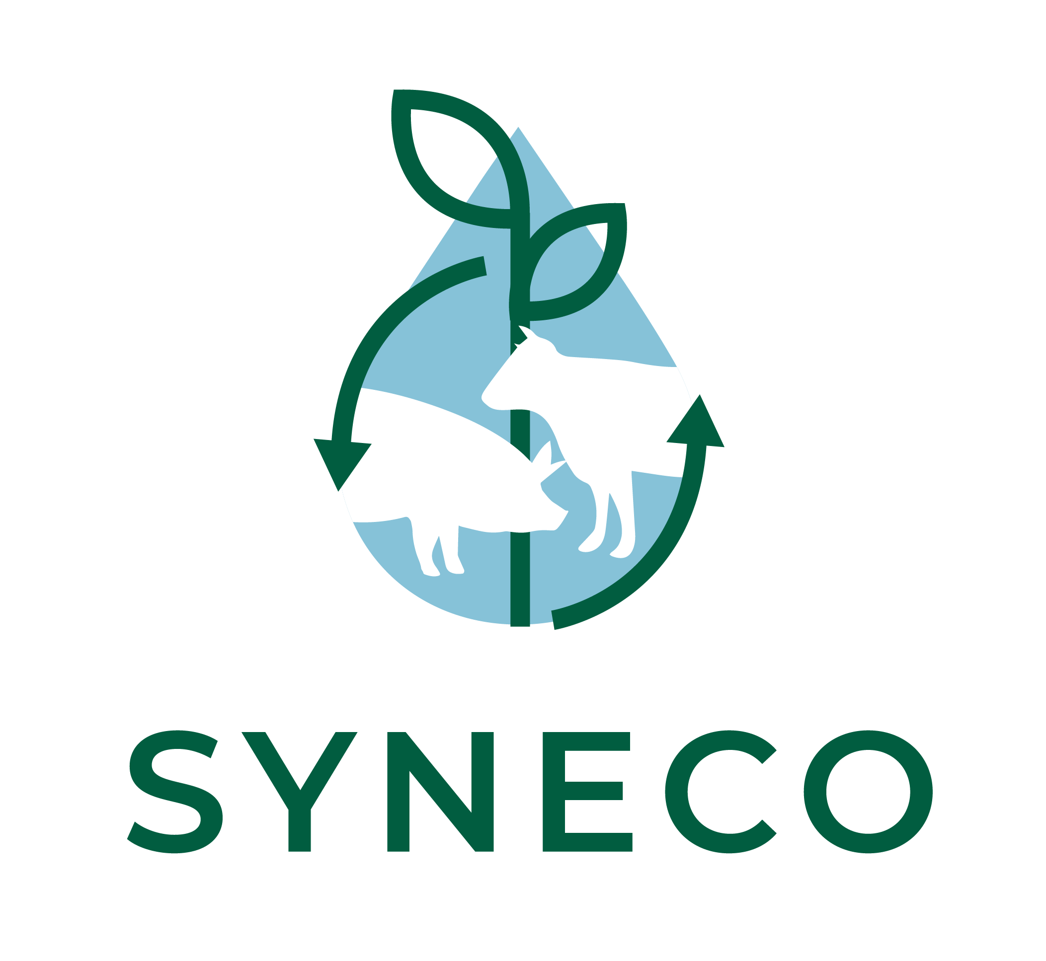 Syneco - Recovering value from pig and cow slurry to promote ...